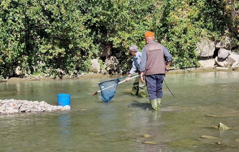 Interventi sull'Arno tra Arezzo e Capolona, prima la salvaguardia della ...